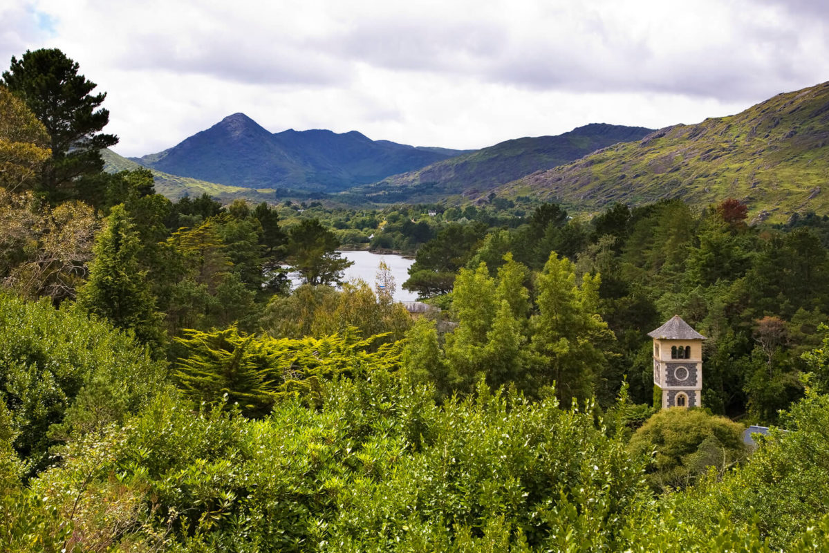 Forests Trails Kerry | Explore Kerry | The Ashe Hotel Tralee